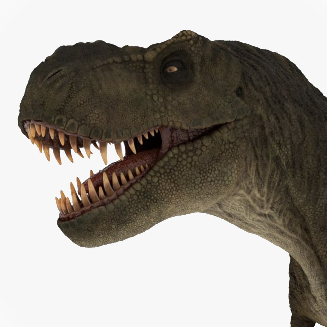 Tyrannosaurus Rex - Realistic Rigged 3D Model - TurboSquid 2094731