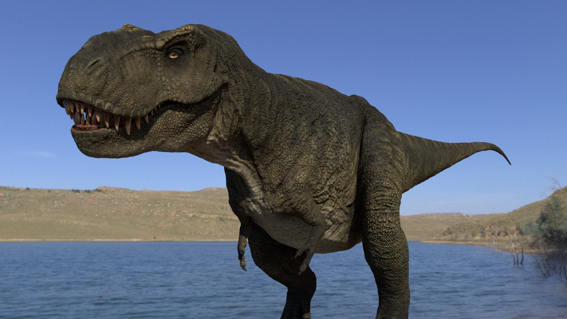 Tyrannosaurus Rex - Realistic Rigged 3D Model - TurboSquid 2094731