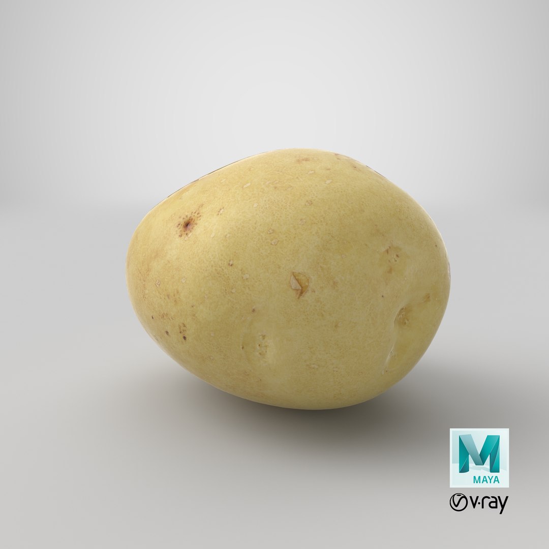 3D Potato 03 - TurboSquid 1465994