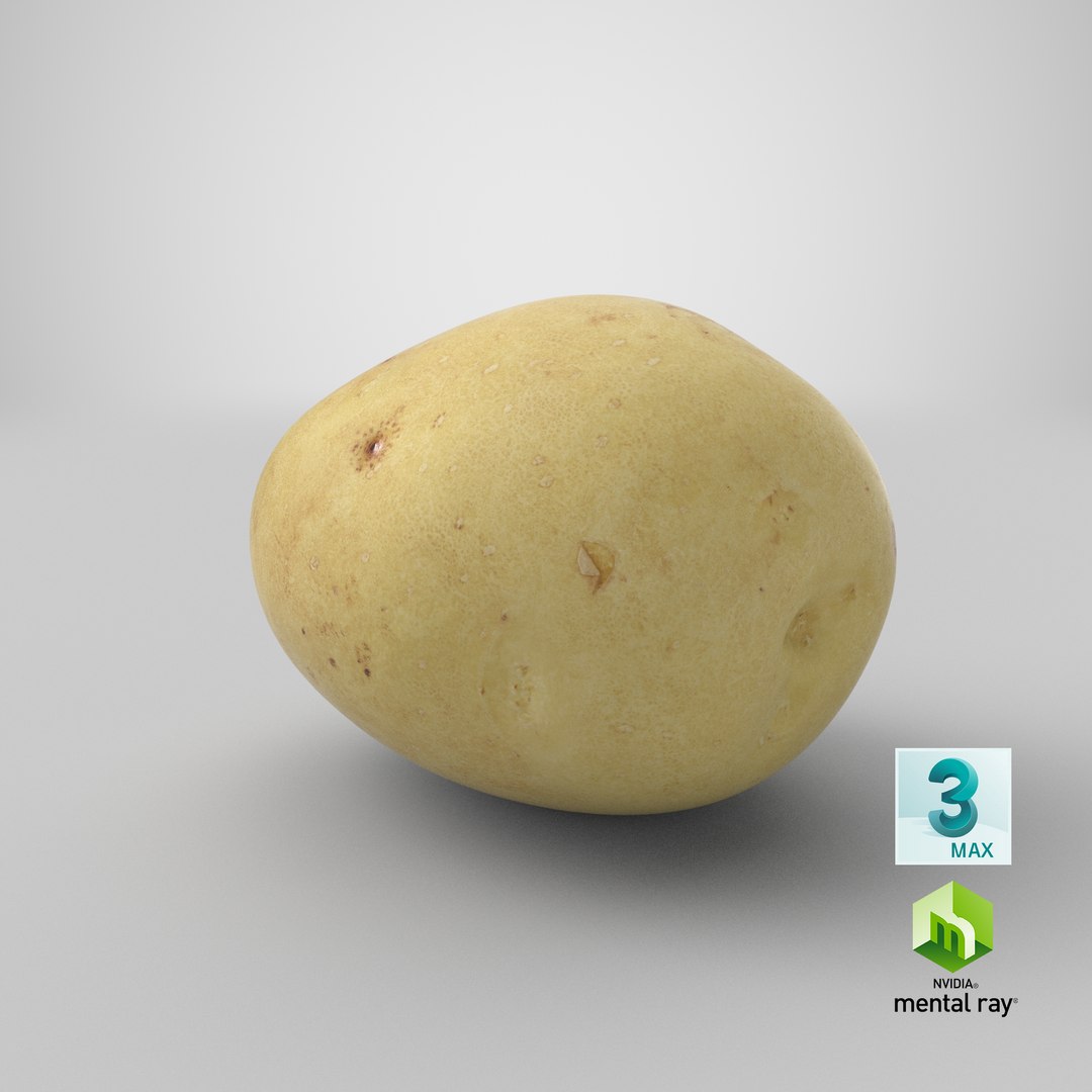 3D Potato 03 - TurboSquid 1465994
