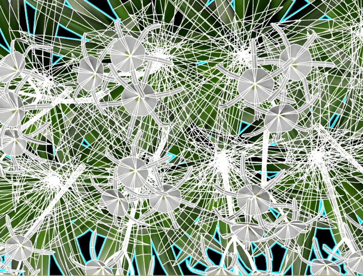 Ornamental Plant Model With Spider-like Small White Flowers 3D Model ...