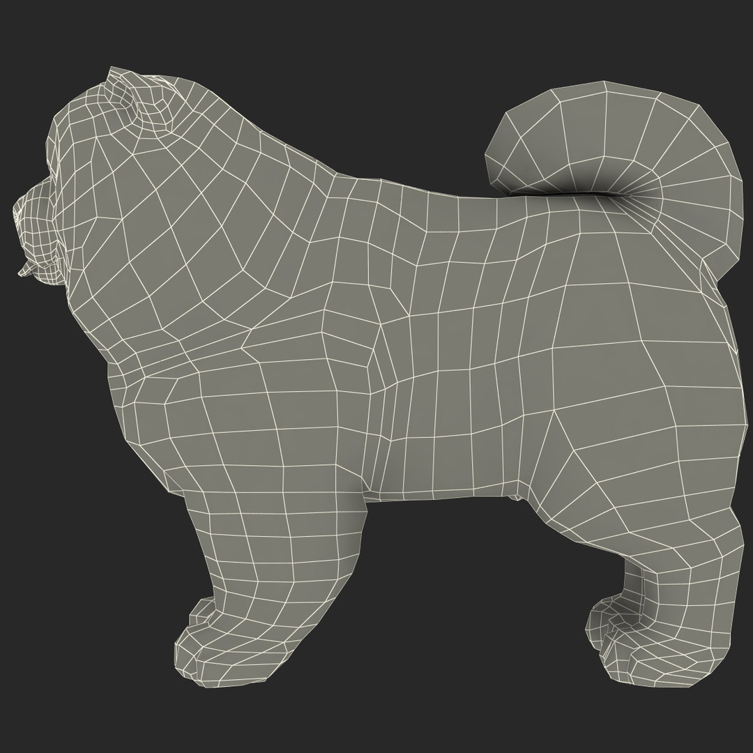 Chow Dog 3d Max