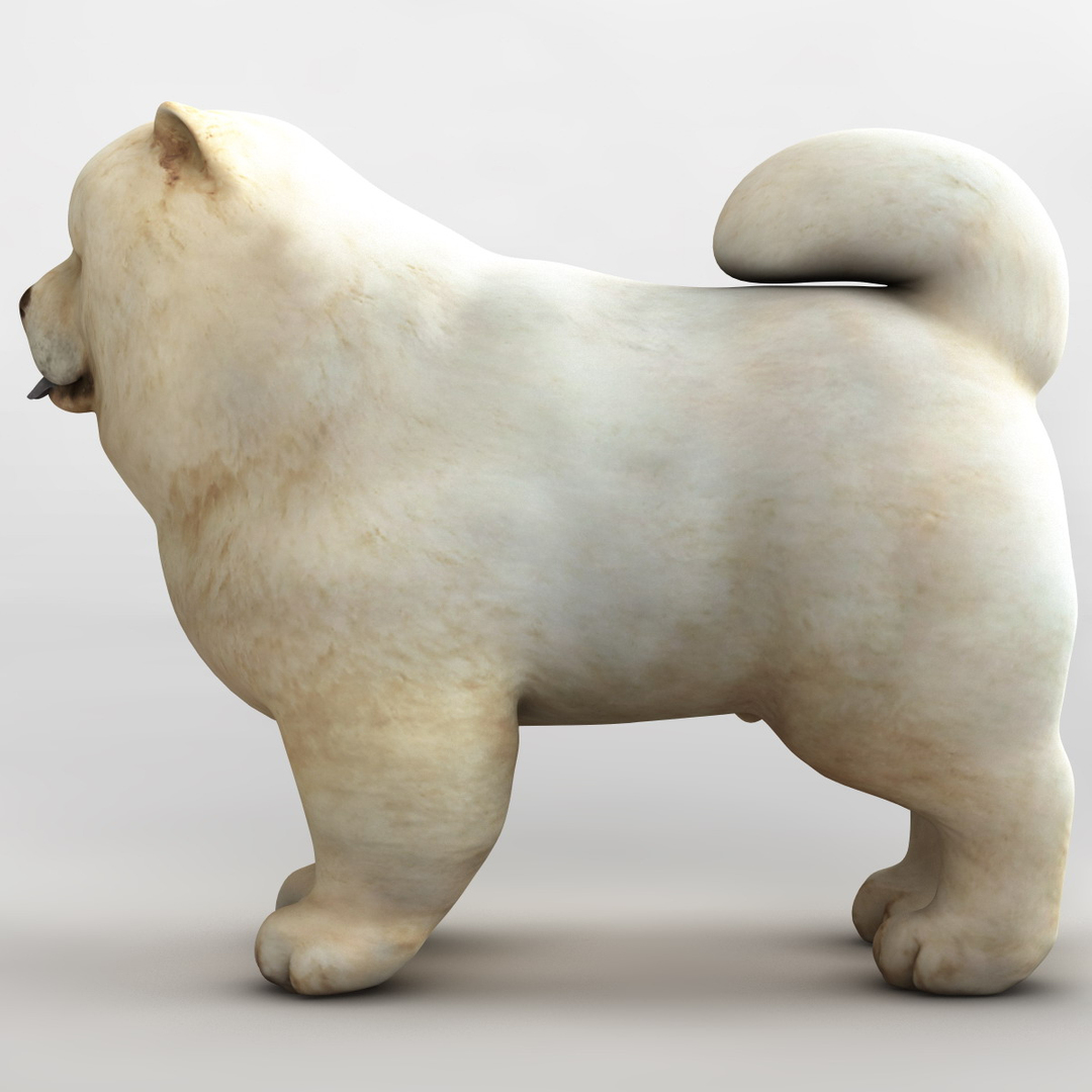 Chow Dog 3d Max