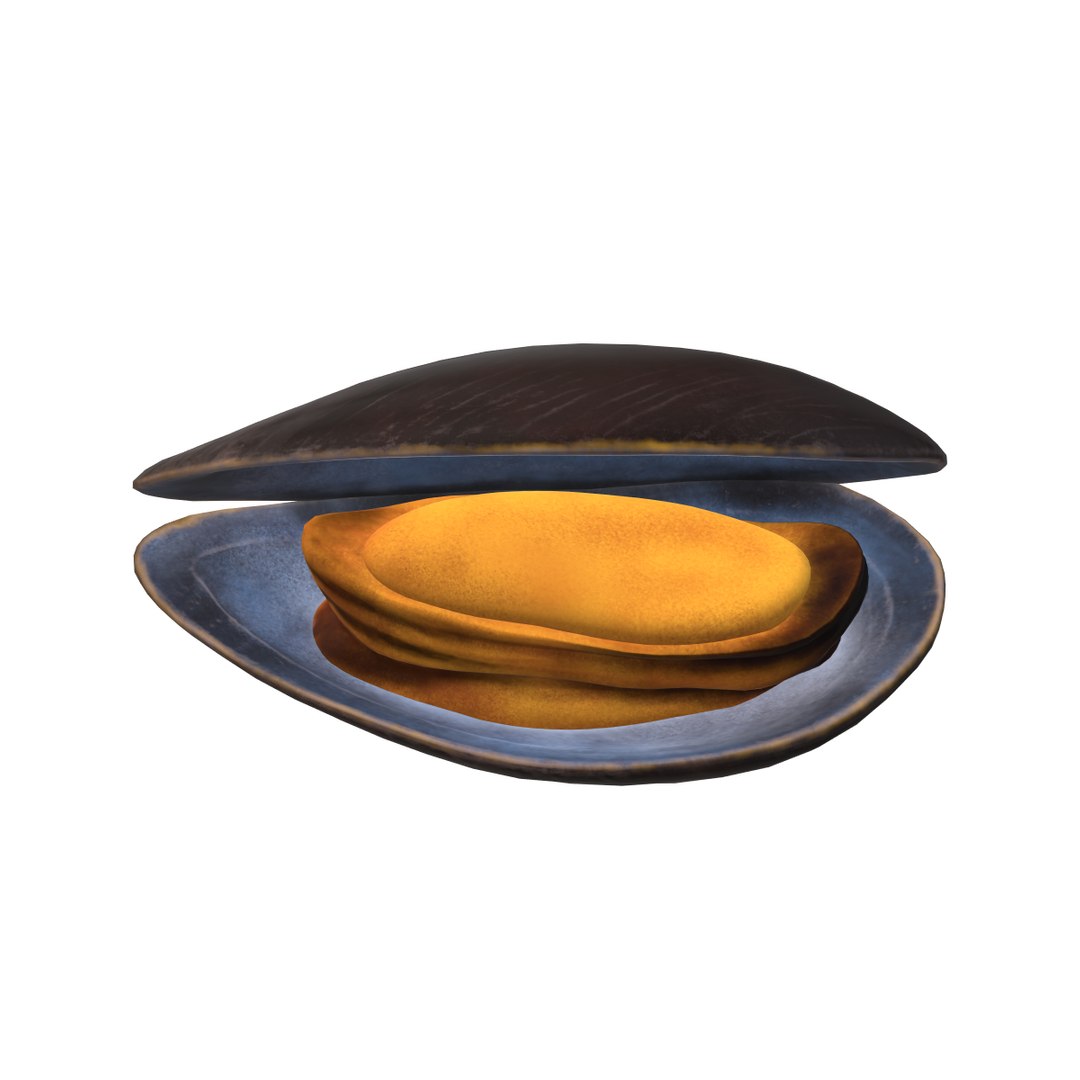 3D Model Mussel - TurboSquid 2347705