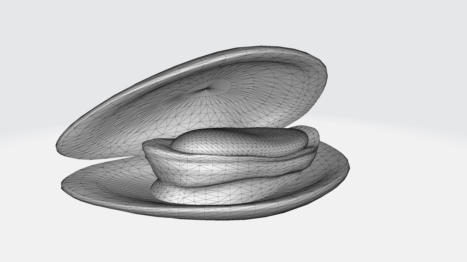 3D Model Mussel - TurboSquid 2347705