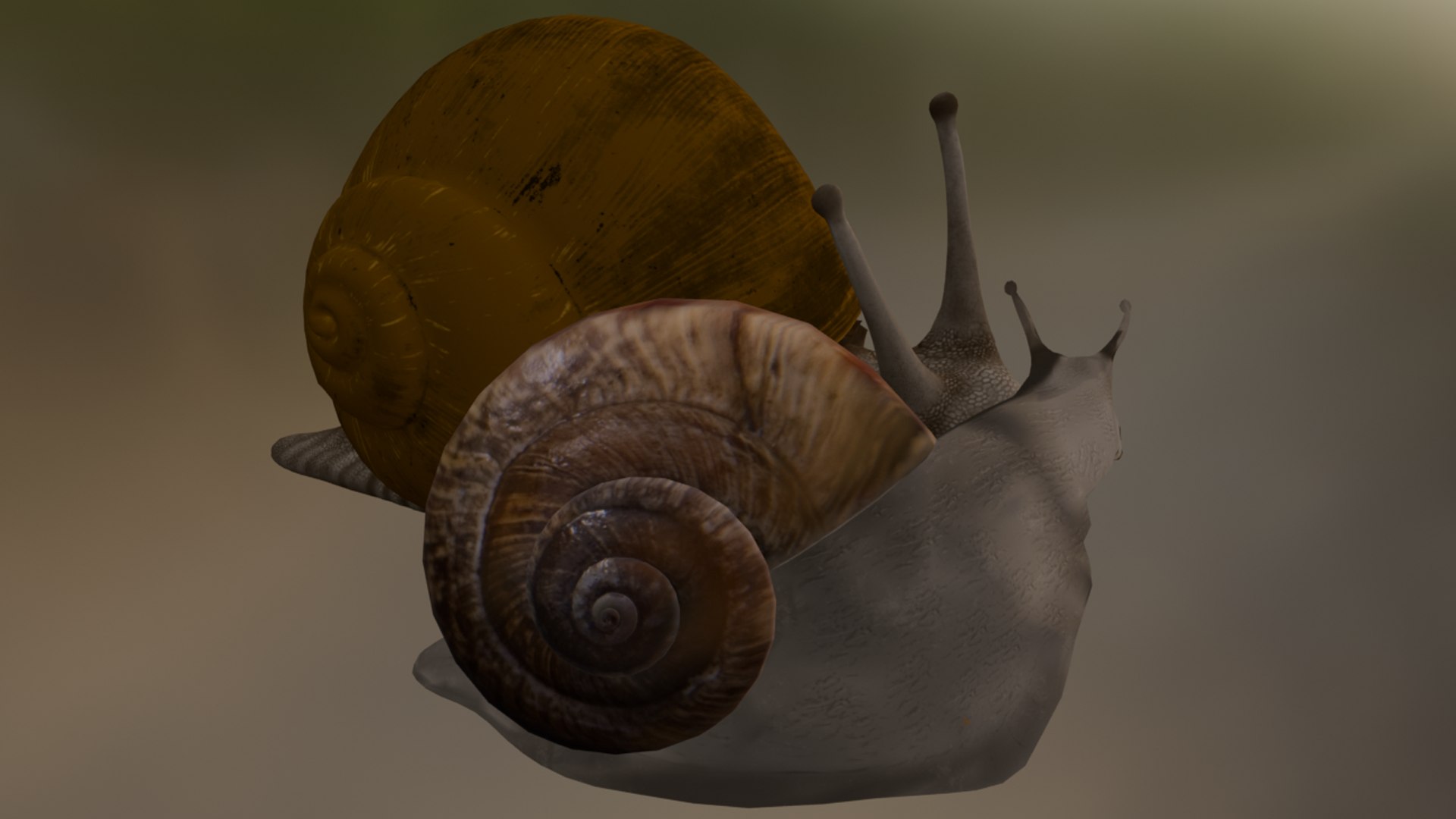 3D Model Snail - TurboSquid 2370465