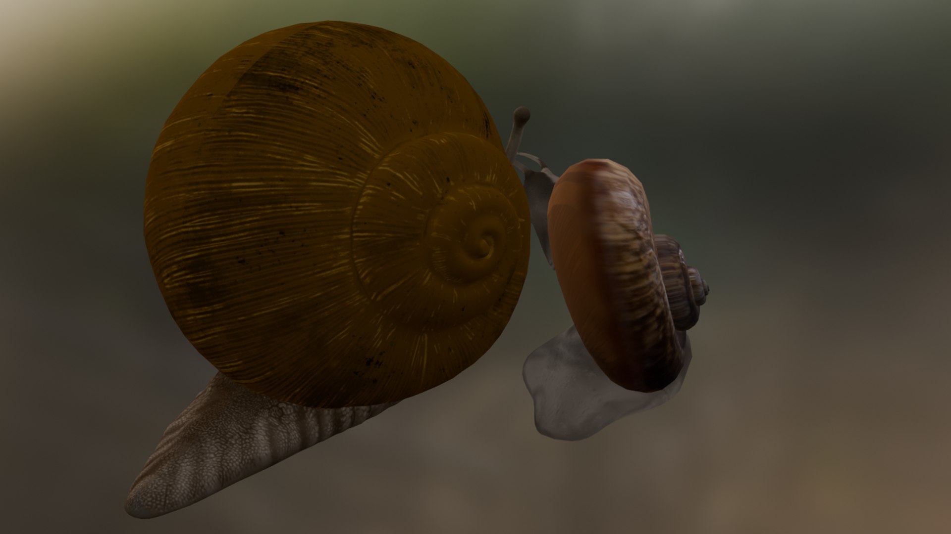 3D Model Snail - TurboSquid 2370465