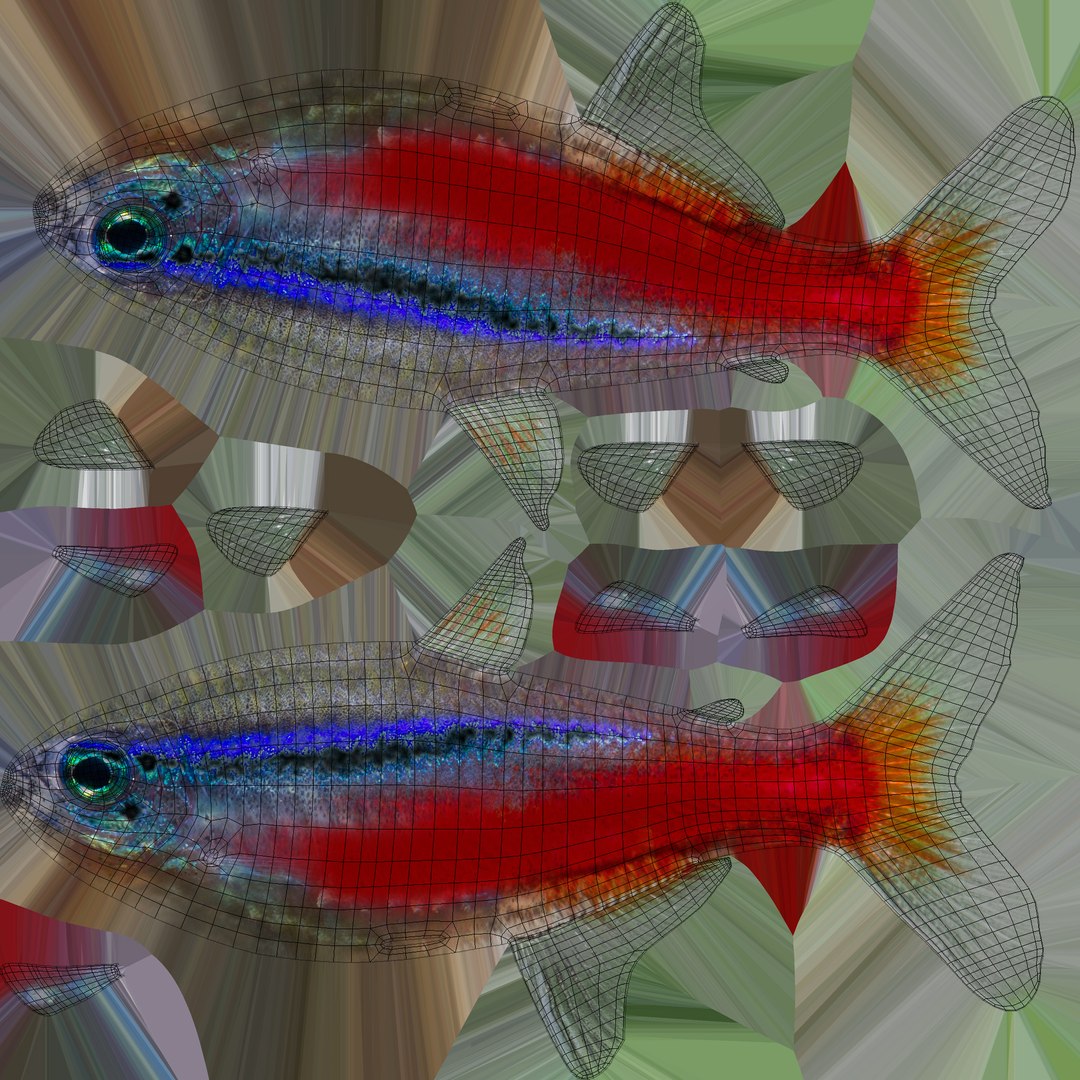 3D cardinal tetra - TurboSquid 1329697