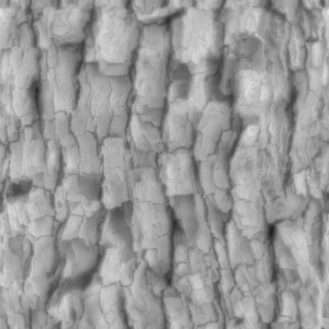 3D Tree Bark Seamless - TurboSquid 1712558