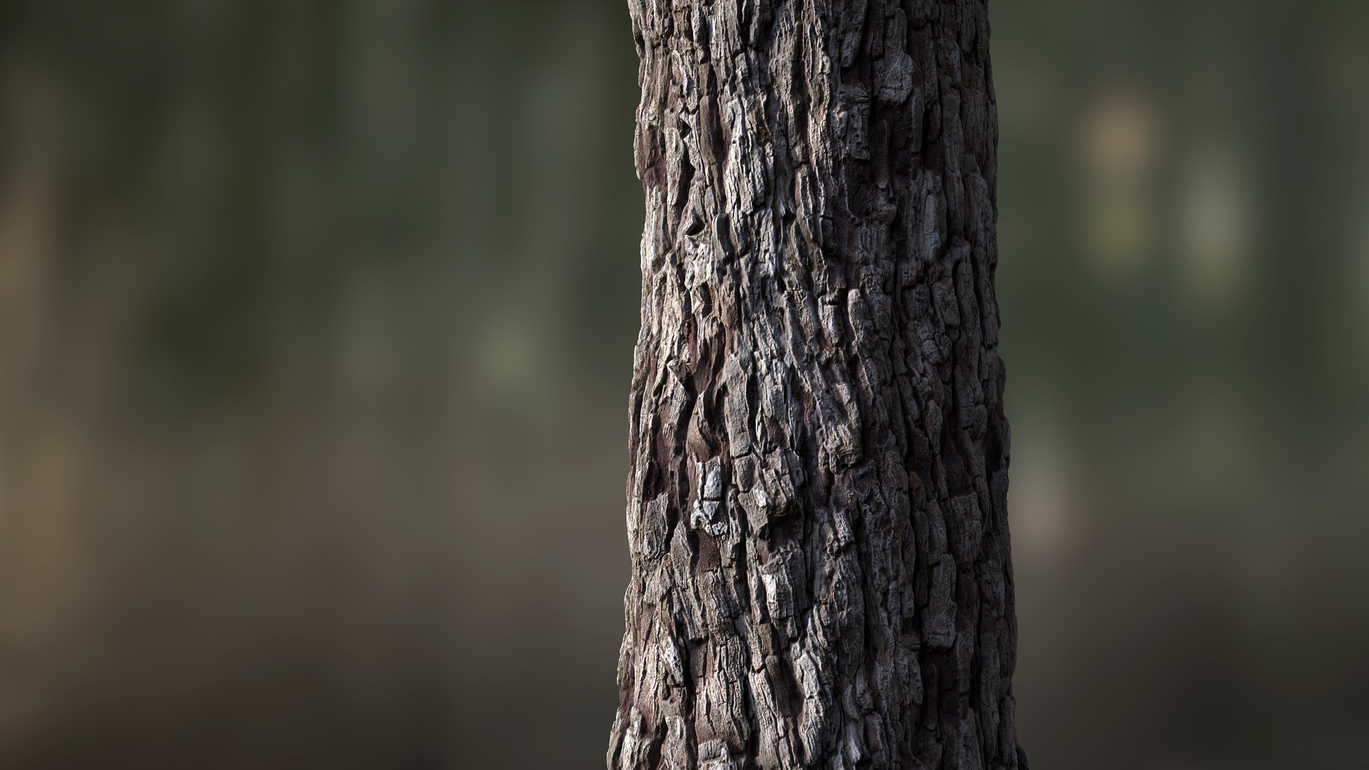 3D Tree Bark Seamless - TurboSquid 1712558
