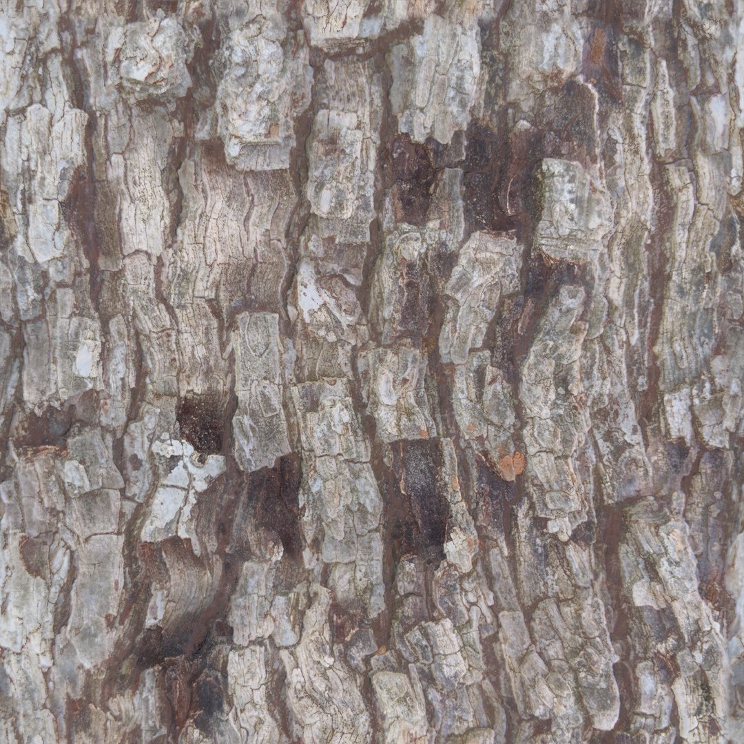 3D Tree Bark Seamless - TurboSquid 1712558