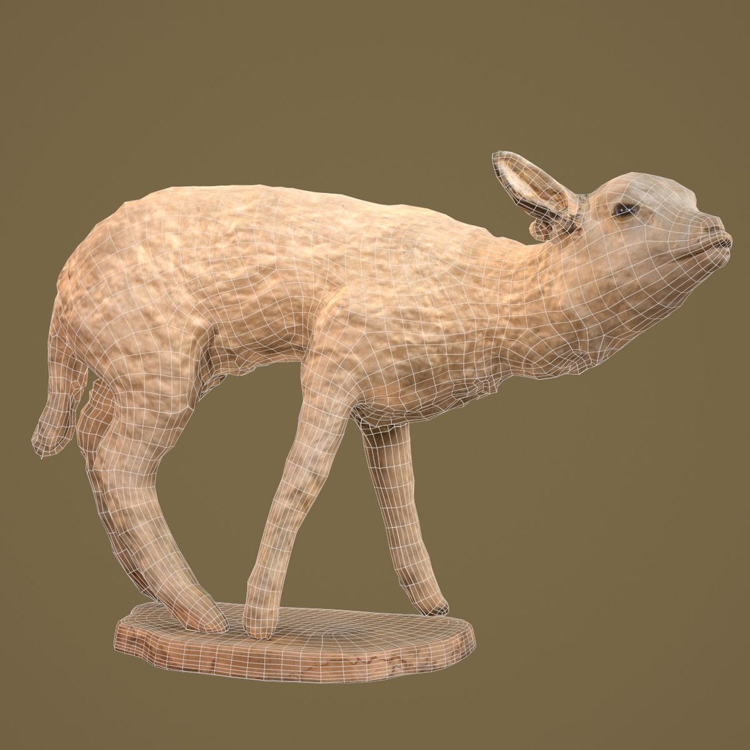 Animal Digital Photogrammetry 3D Model - TurboSquid 1162973
