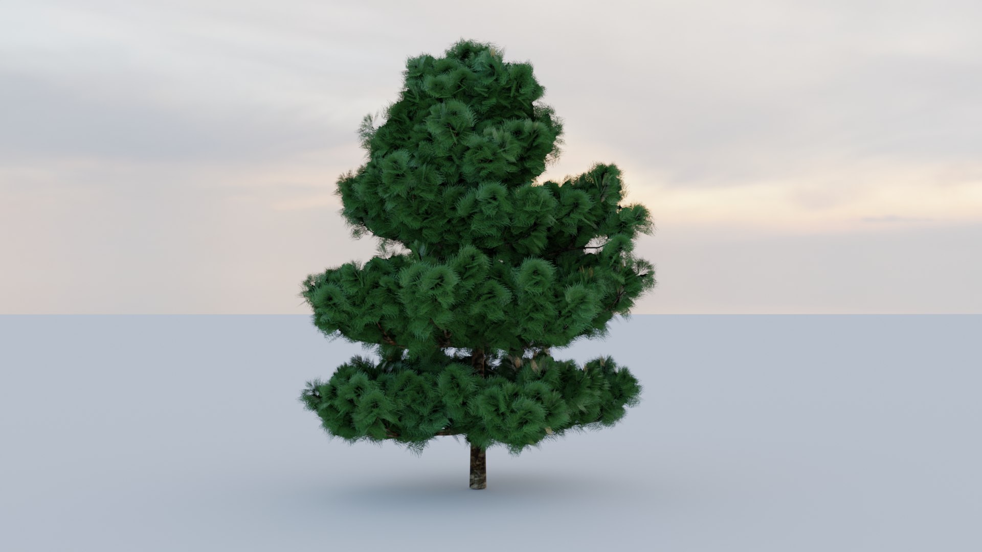 Small Pine Tree 3D - TurboSquid 2132703