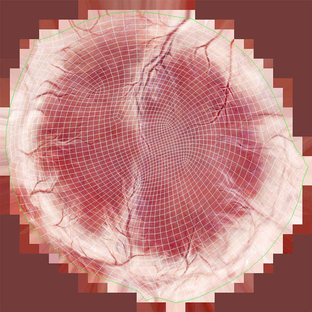 Medically Accurate Lateral Cross-section Of The Human Heart II 3D Model ...