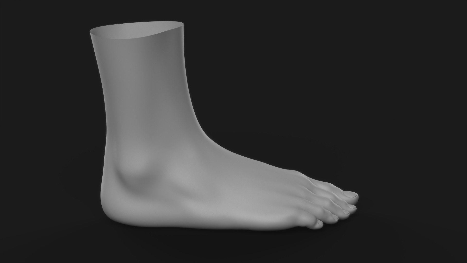 Realistic Human Foot 3D Model - TurboSquid 2014420