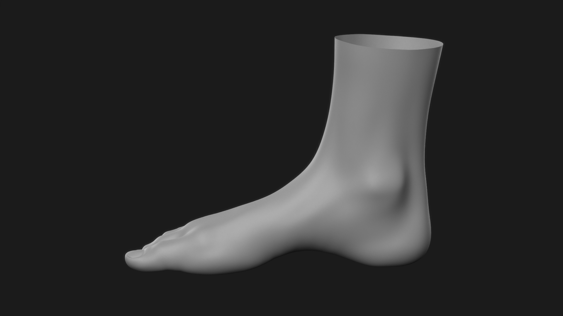 Realistic Human Foot 3D Model - TurboSquid 2014420