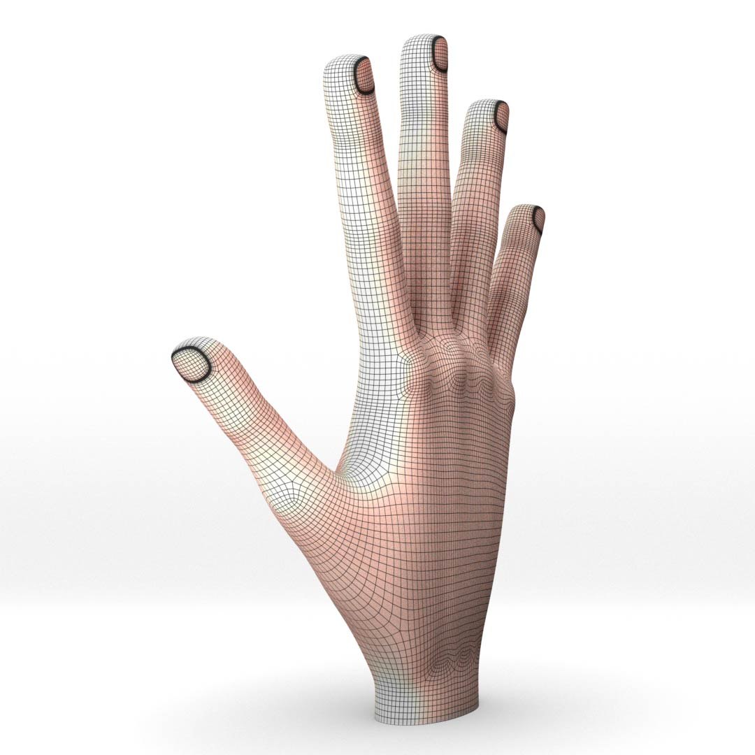 Cartoon Hand 3D Model - TurboSquid 1556766