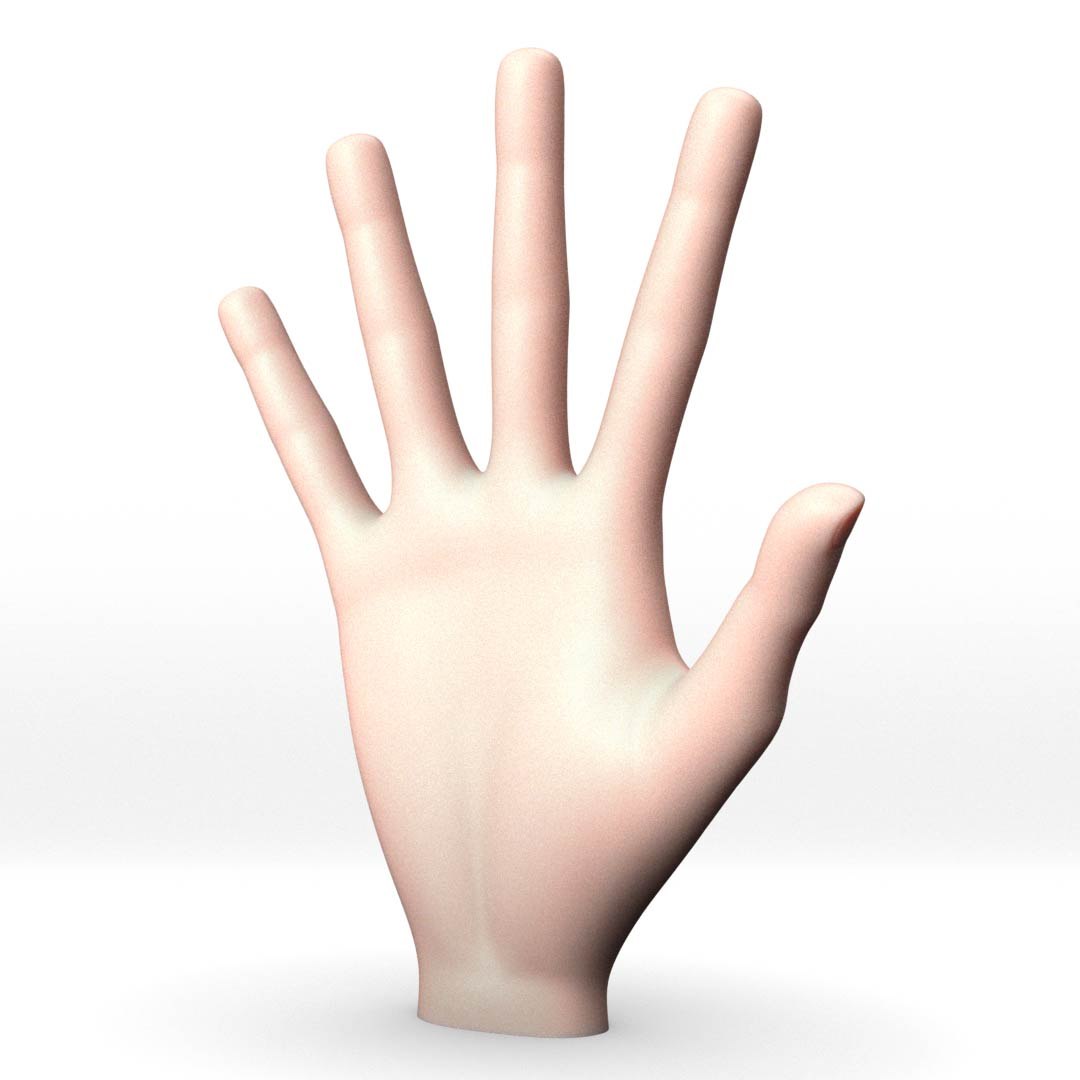 Cartoon Hand 3D Model - TurboSquid 1556766