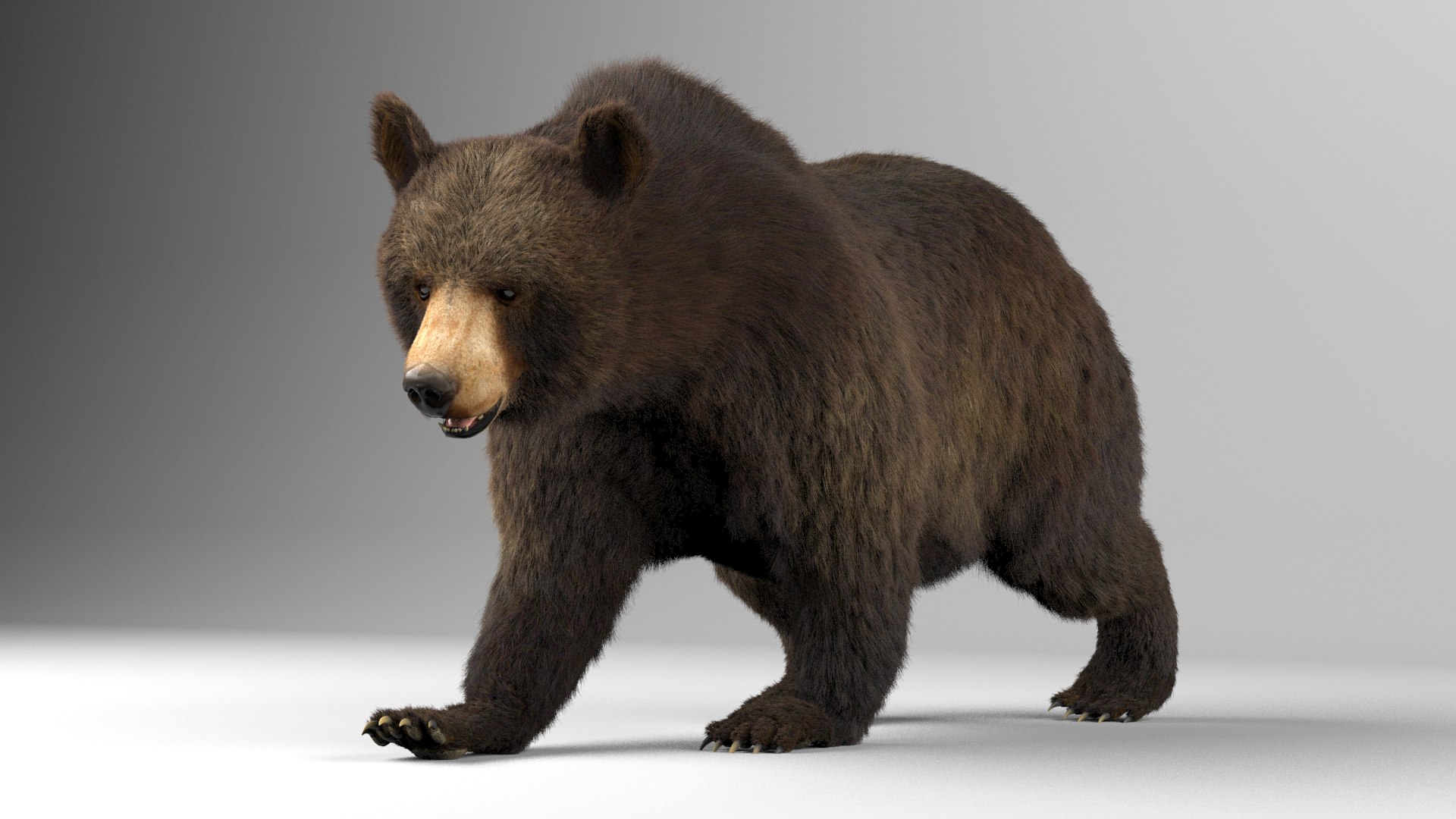 3d Photorealistic Bear Fur