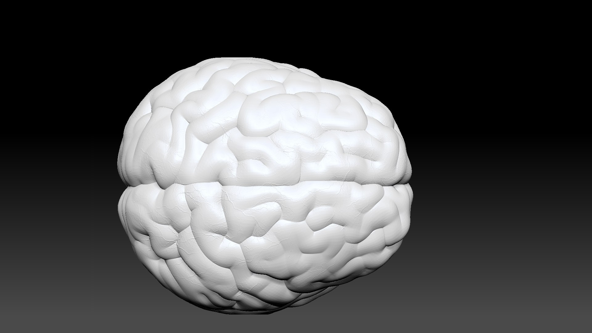 3D Brain Model - TurboSquid 1820390