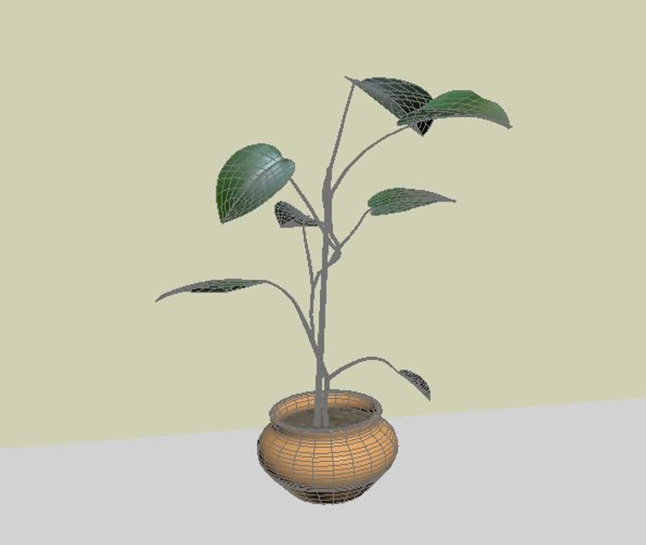 Plant Houseplant 3d Model