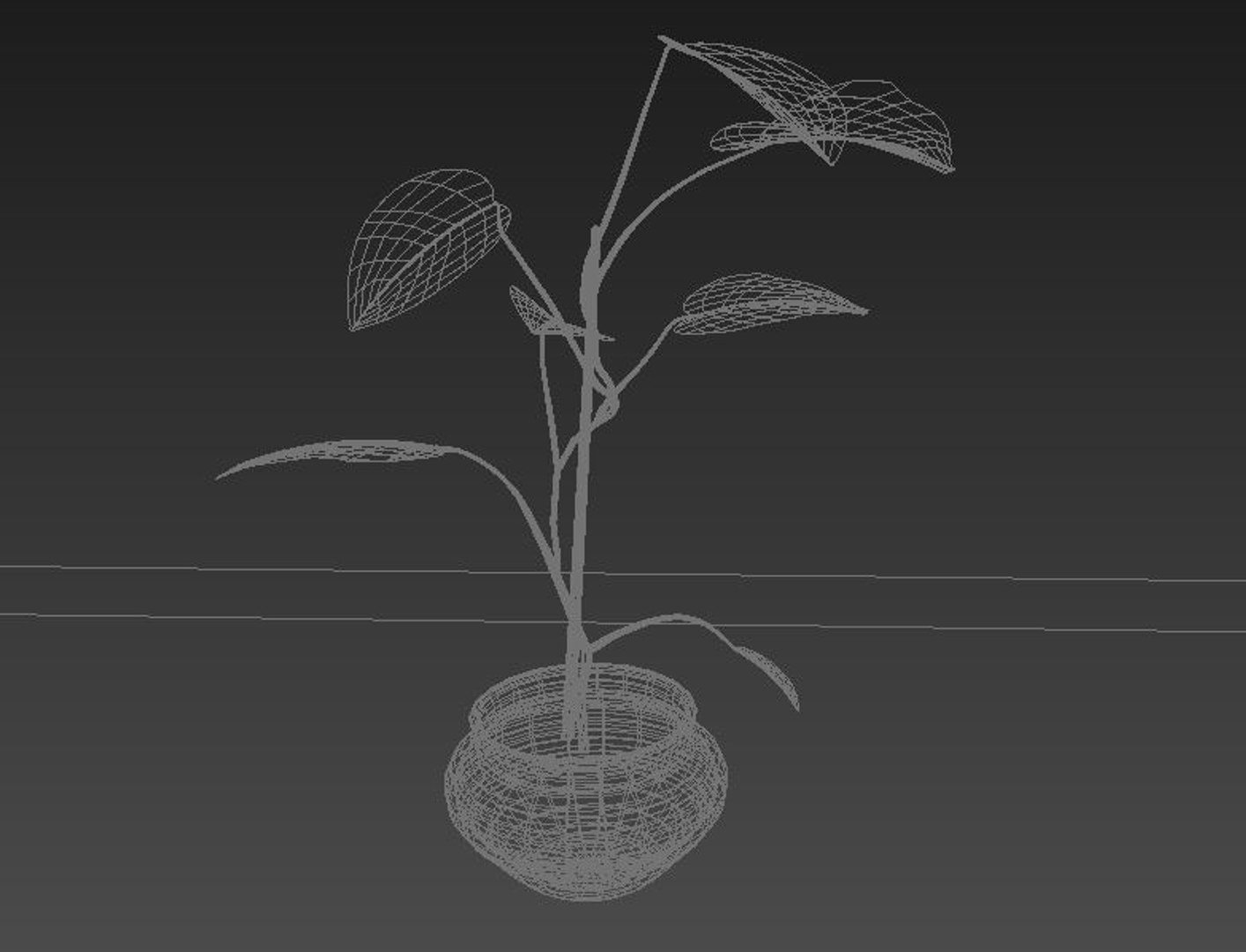 Plant Houseplant 3d Model