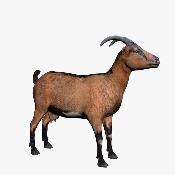 3D Goat 3d mesh - TurboSquid 1760045