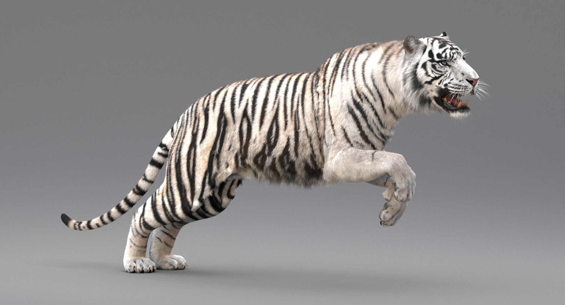 3D realistic tiger fur animation model - TurboSquid 1244180