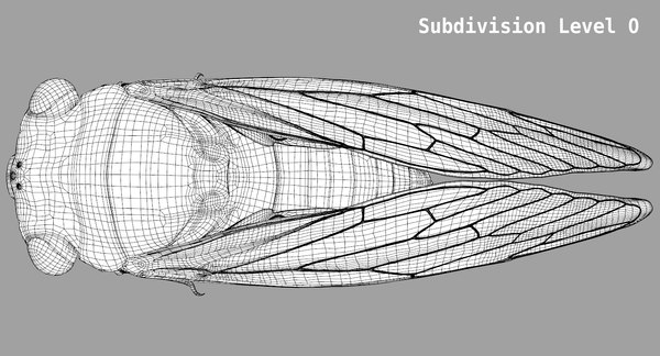 rigged cicada 3d model
