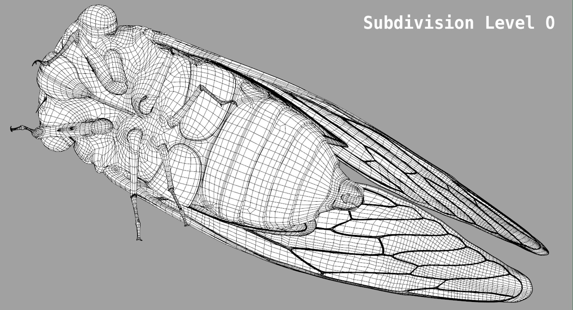 Rigged Cicada 3d Model