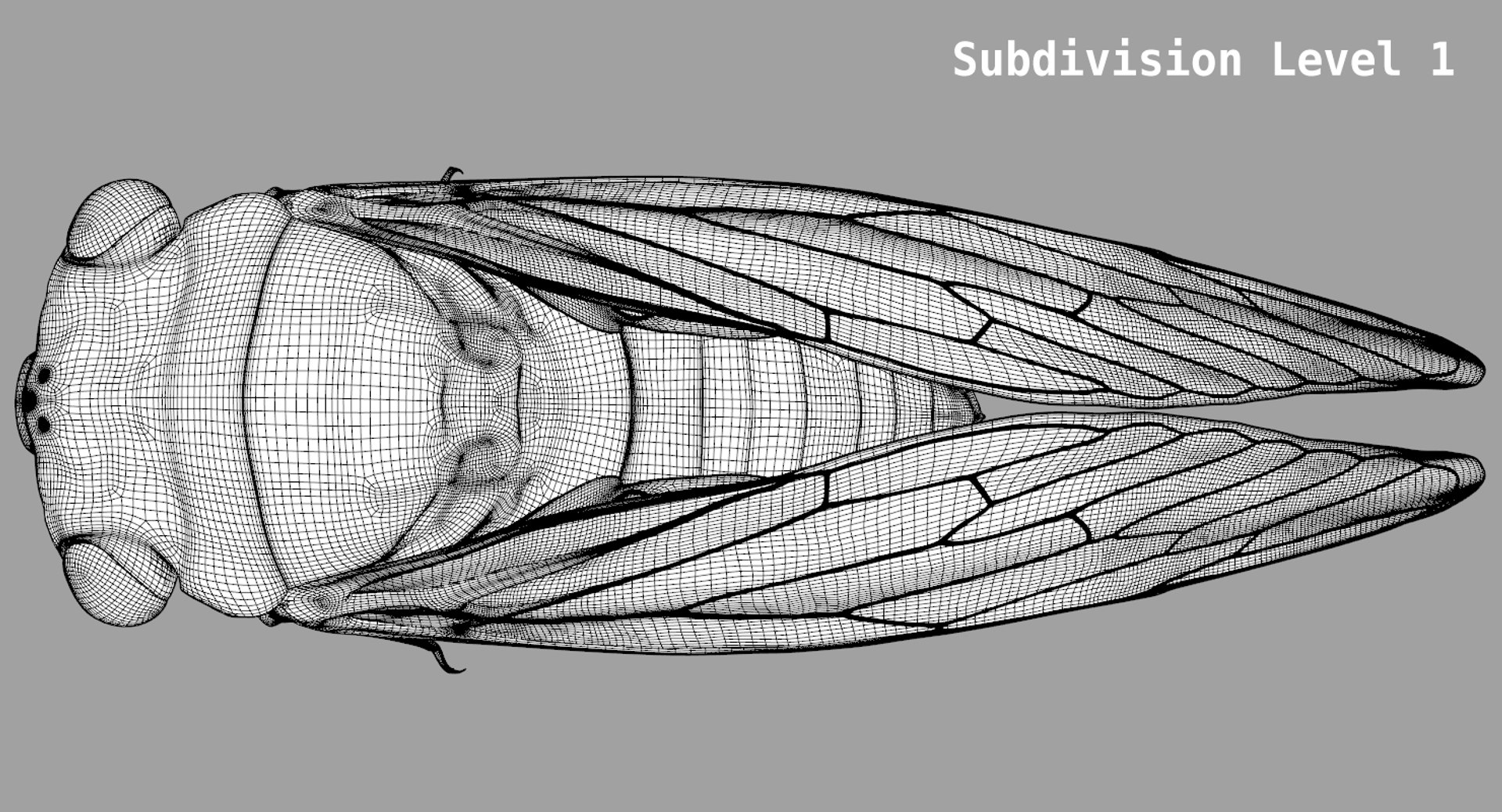 Rigged Cicada 3d Model