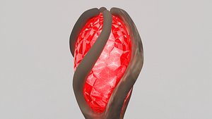 Free 3D Staff Models - Available For Download On TurboSquid