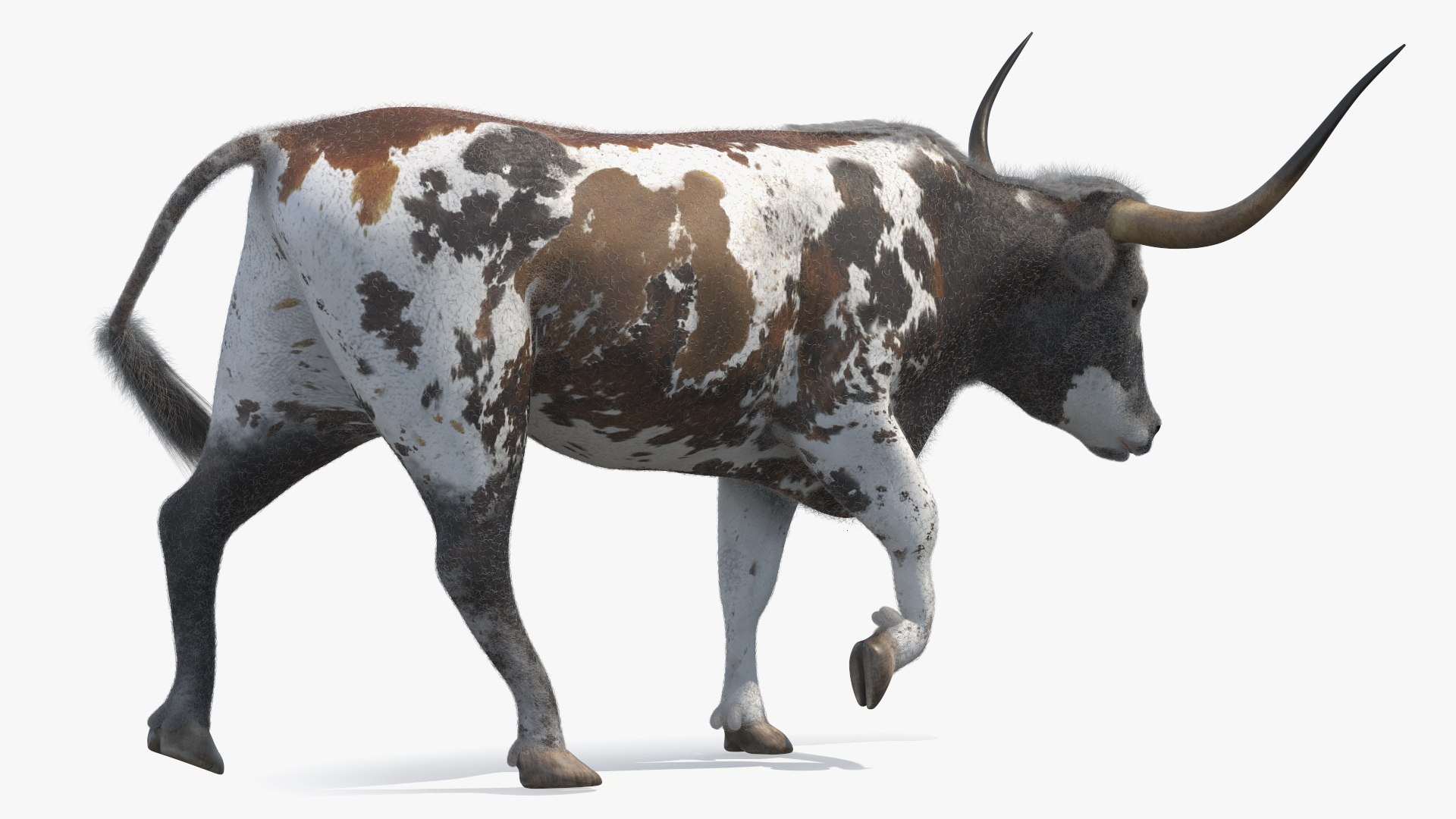 3D Mottled Brown Longhorn Bull Walking Pose Fur model - TurboSquid 2178976