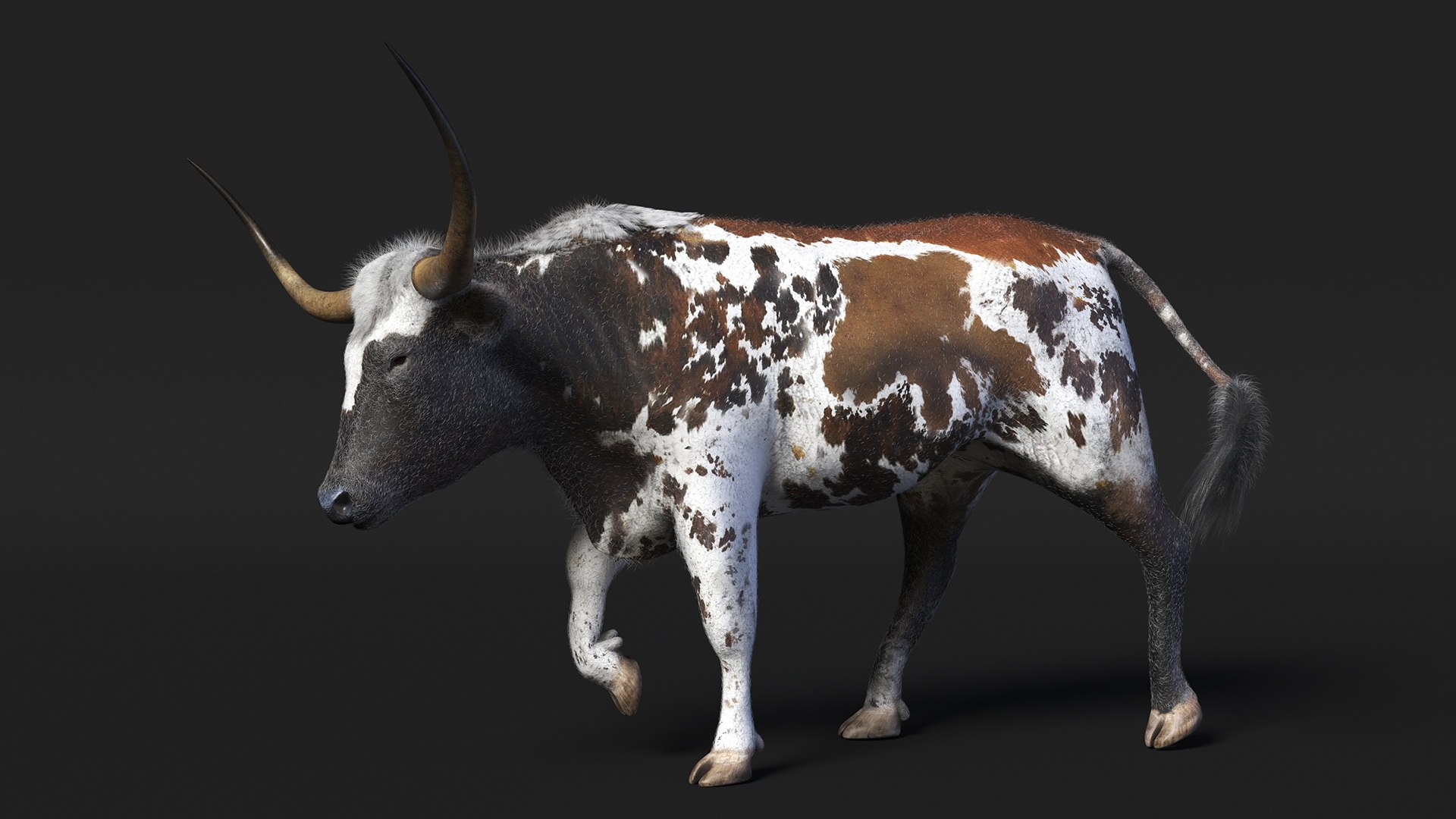 3D Mottled Brown Longhorn Bull Walking Pose Fur Model - TurboSquid 2178976