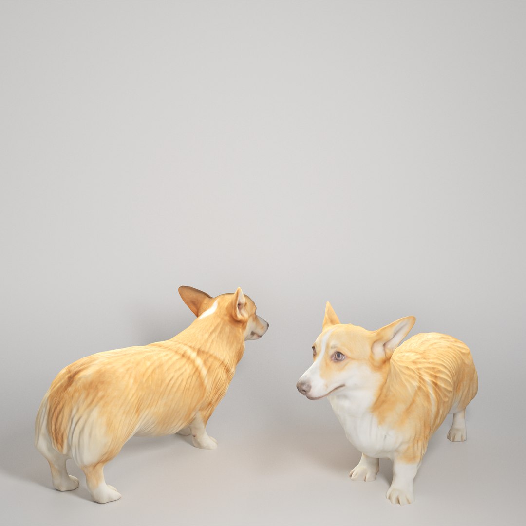 3D Young Corgi Dog Animals Model - TurboSquid 1693659