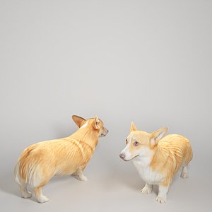 Corgi 3D Models for Download | TurboSquid