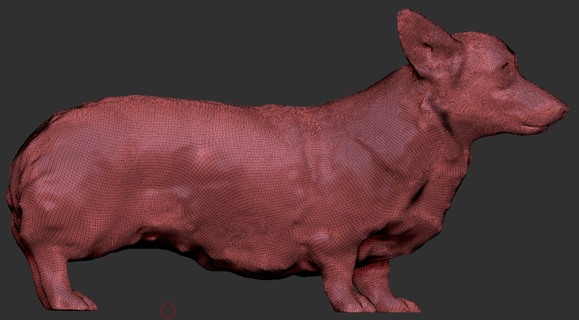 3D Young Corgi Dog Animals Model - TurboSquid 1693659