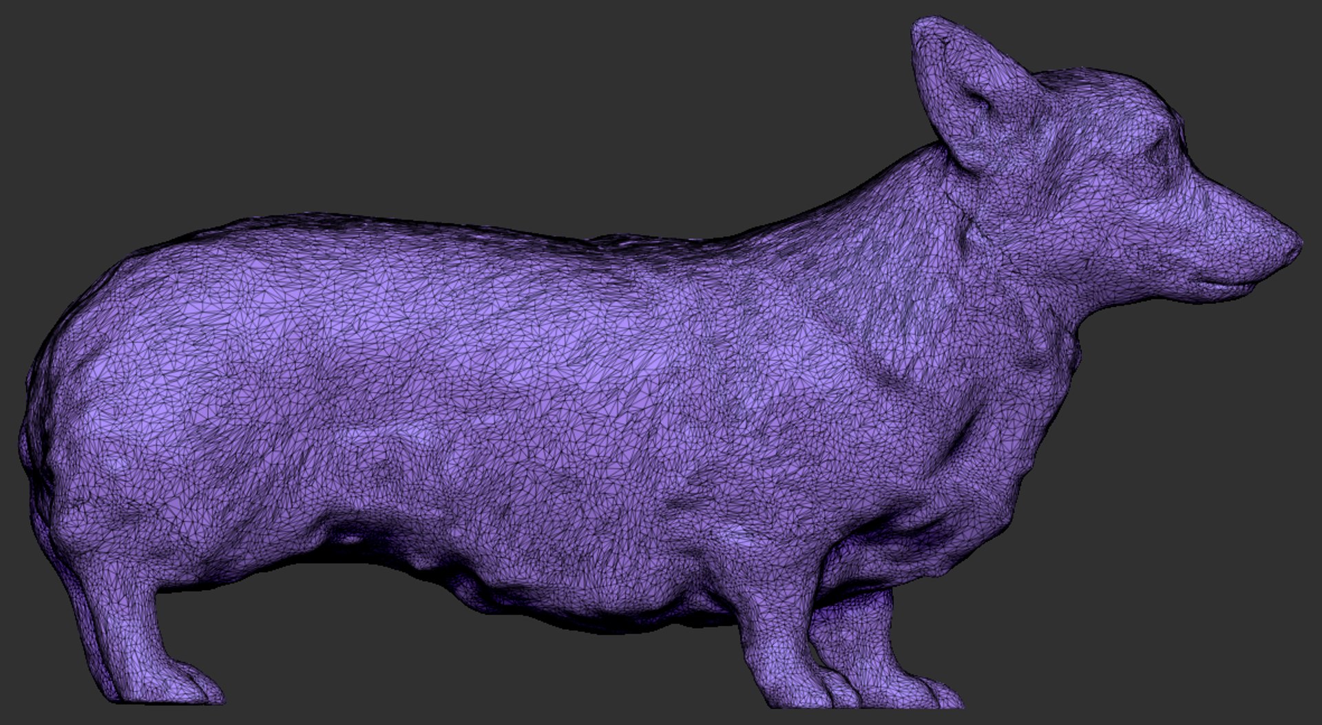 3D Young Corgi Dog Animals Model - TurboSquid 1693659