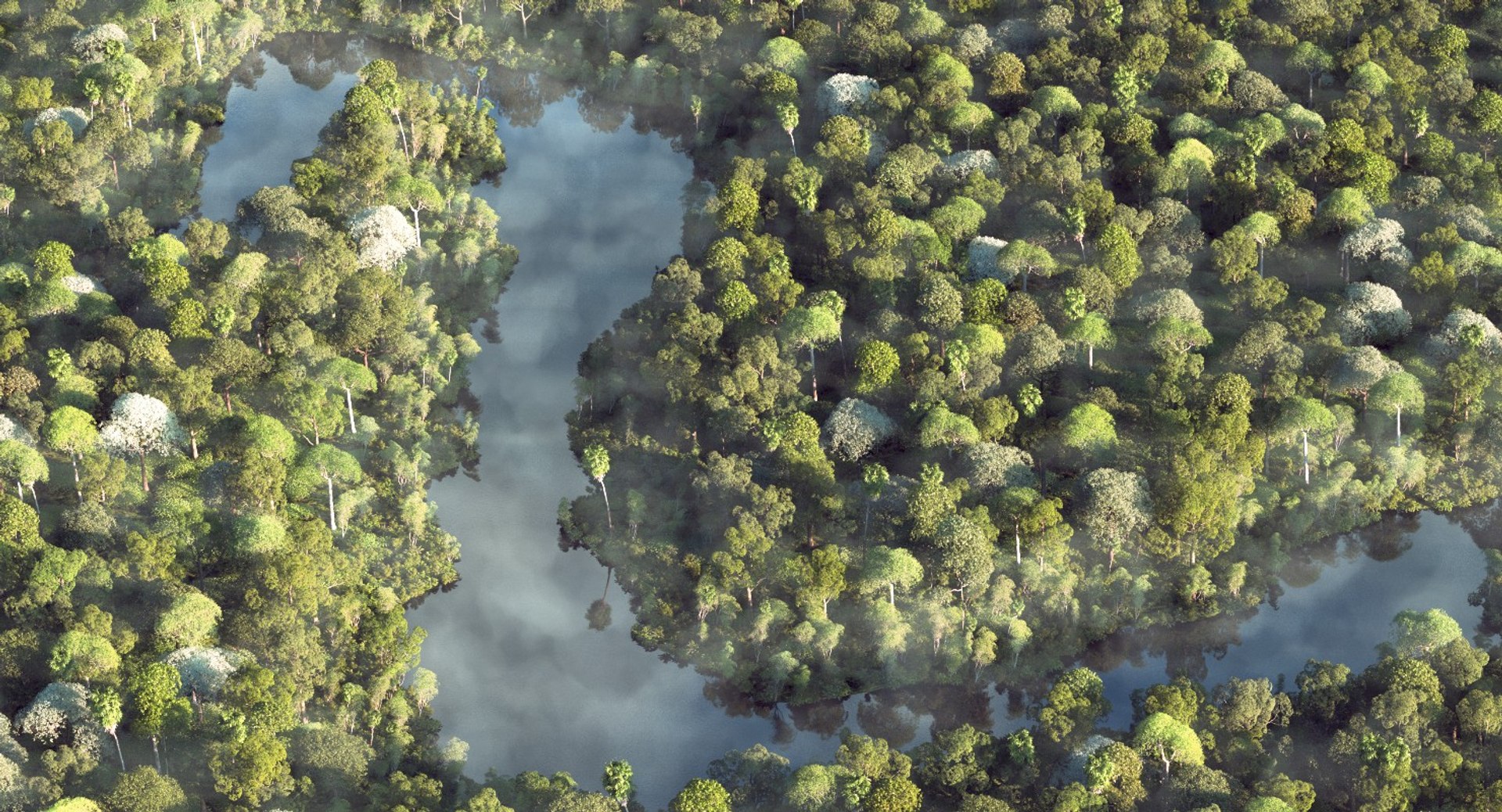 3D Scene Amazon River Model - TurboSquid 1248195