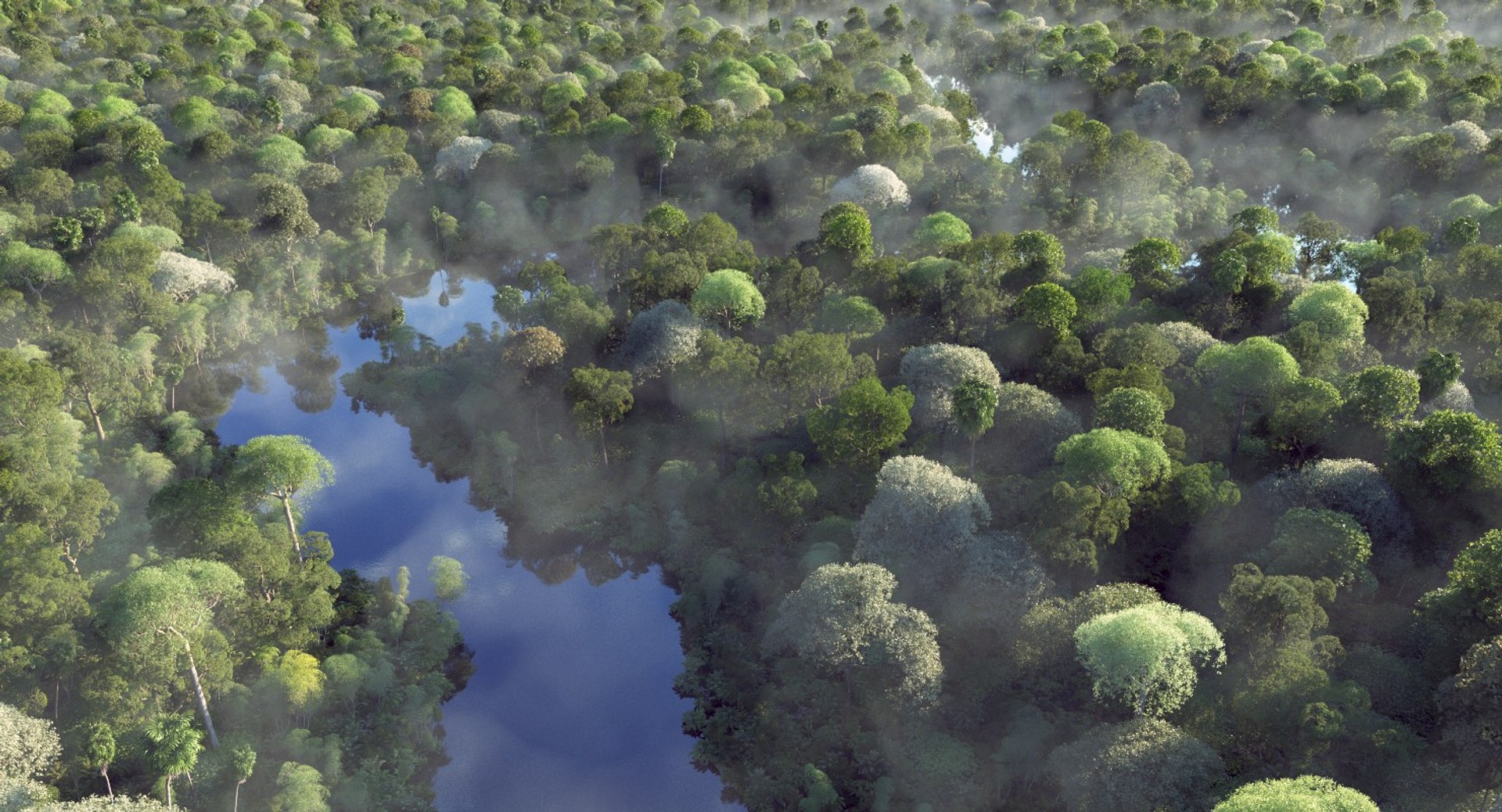 3D Scene Amazon River Model - TurboSquid 1248195