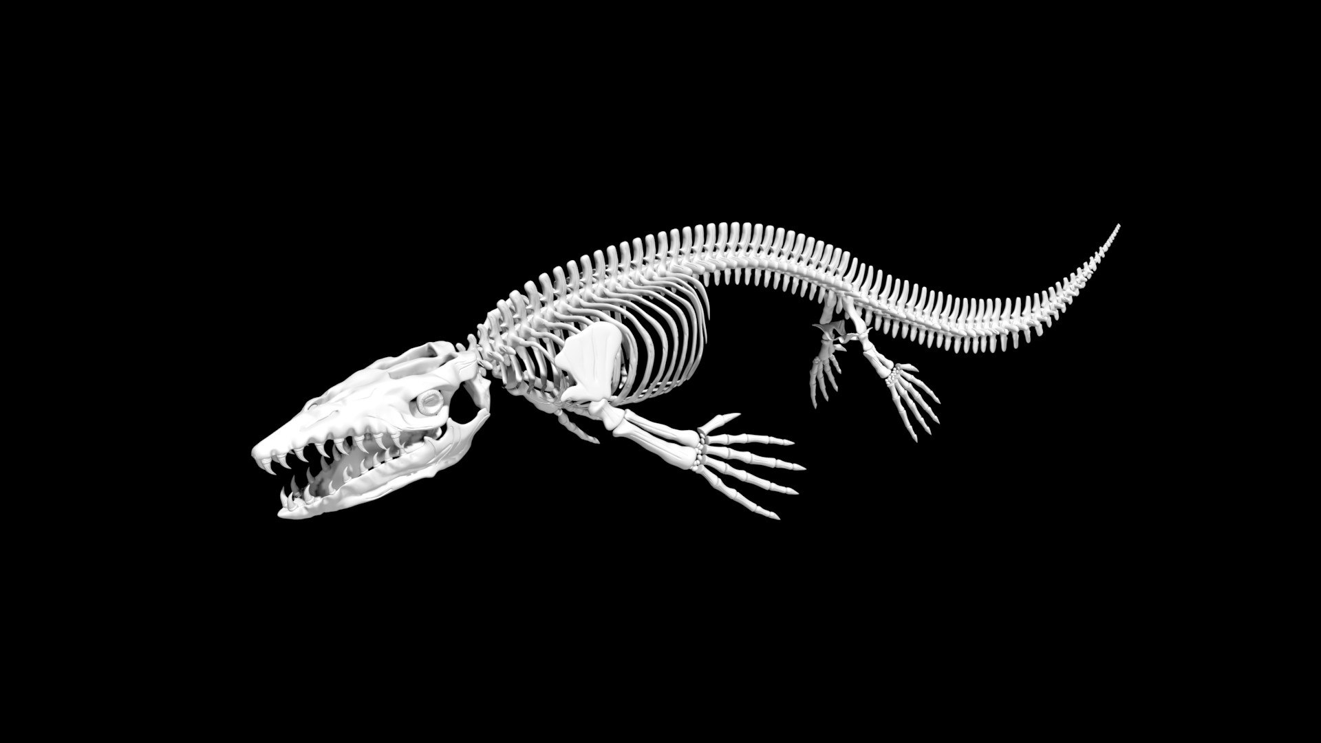 Mosasaurus Skeleton Model - TurboSquid 1885076