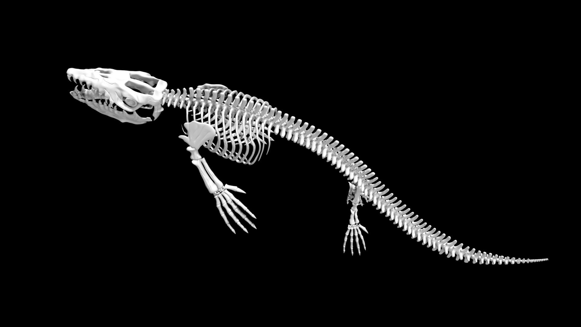 Mosasaurus Skeleton Model - TurboSquid 1885076