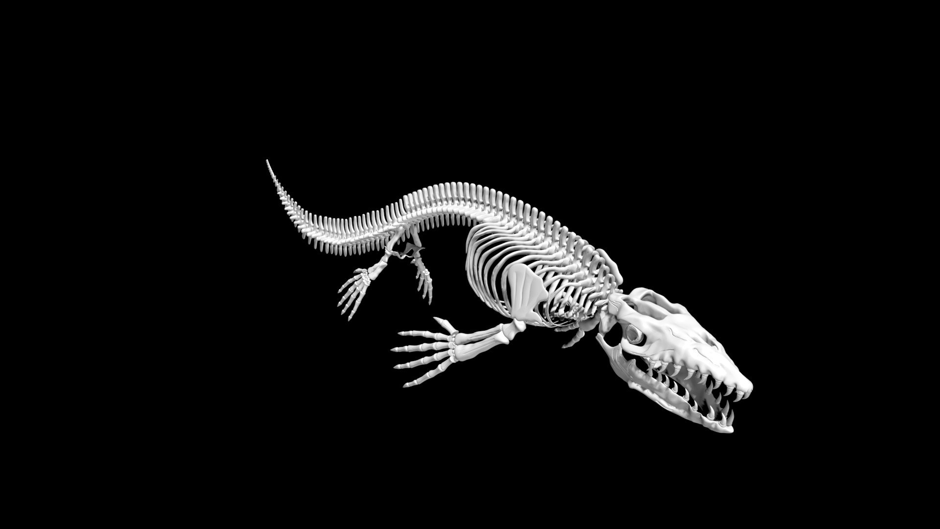 Mosasaurus Skeleton Model - TurboSquid 1885076