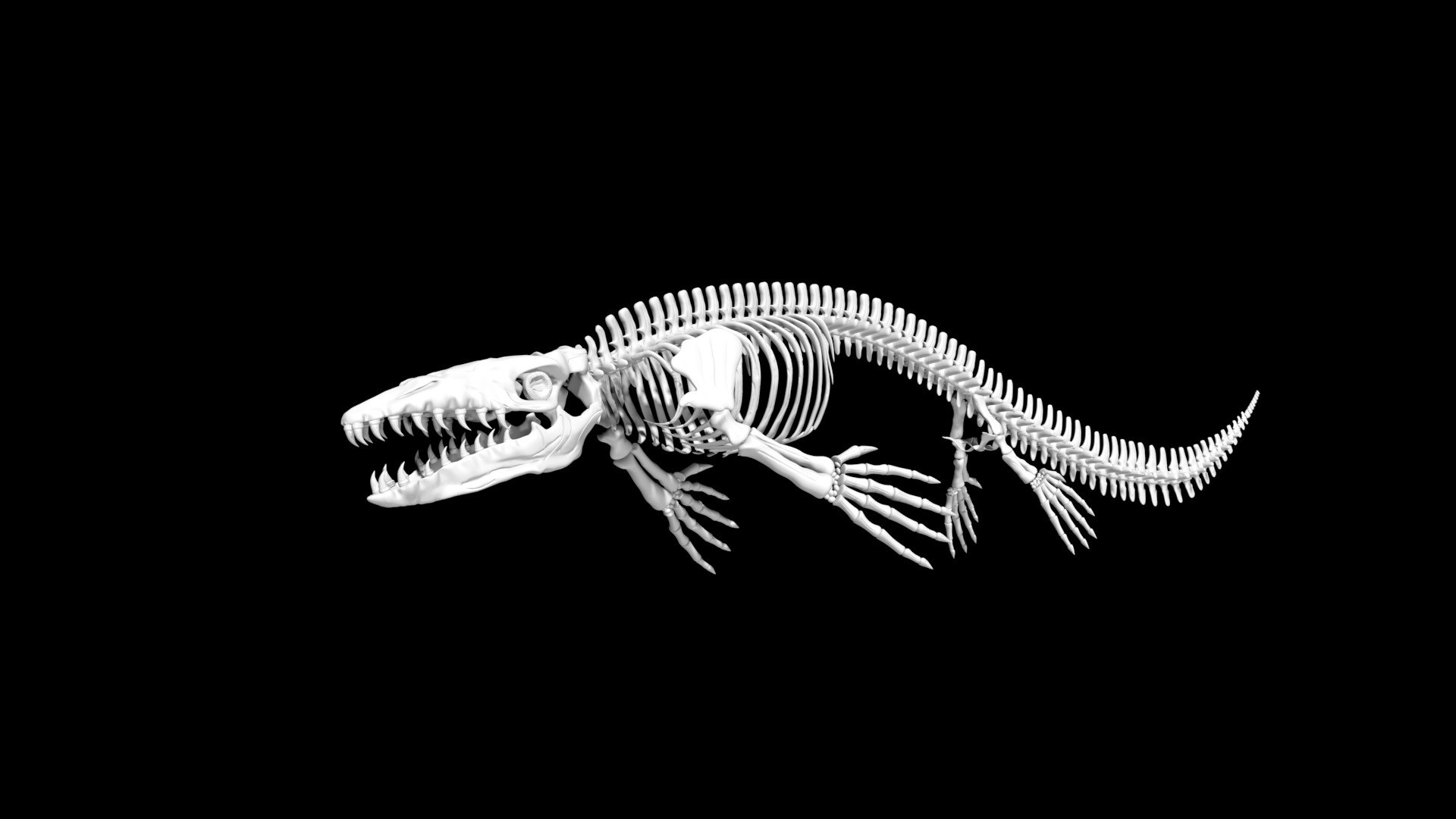 Mosasaurus Skeleton Model - TurboSquid 1885076