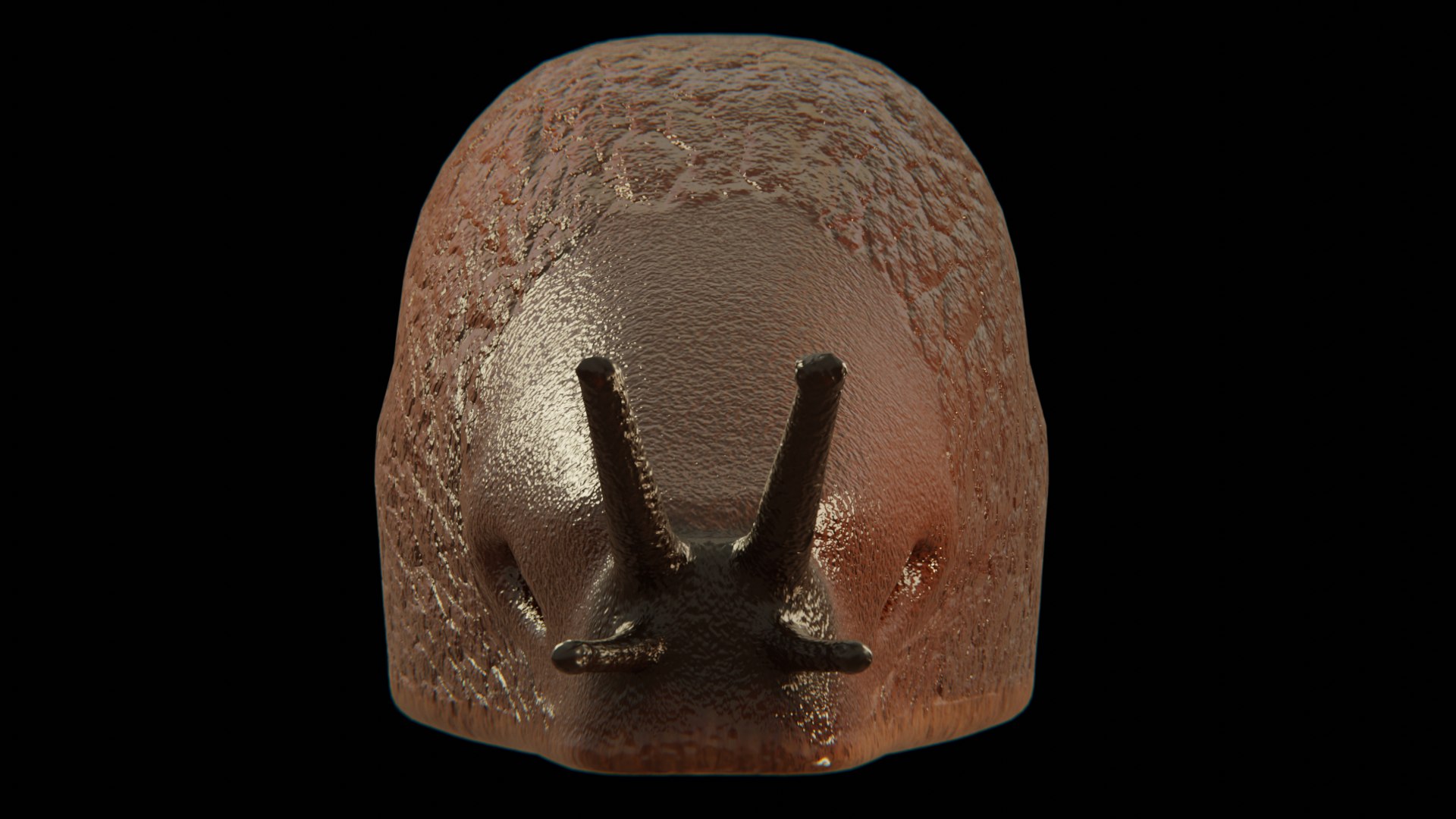 3D Slug - Orange Brown - TurboSquid 2103072