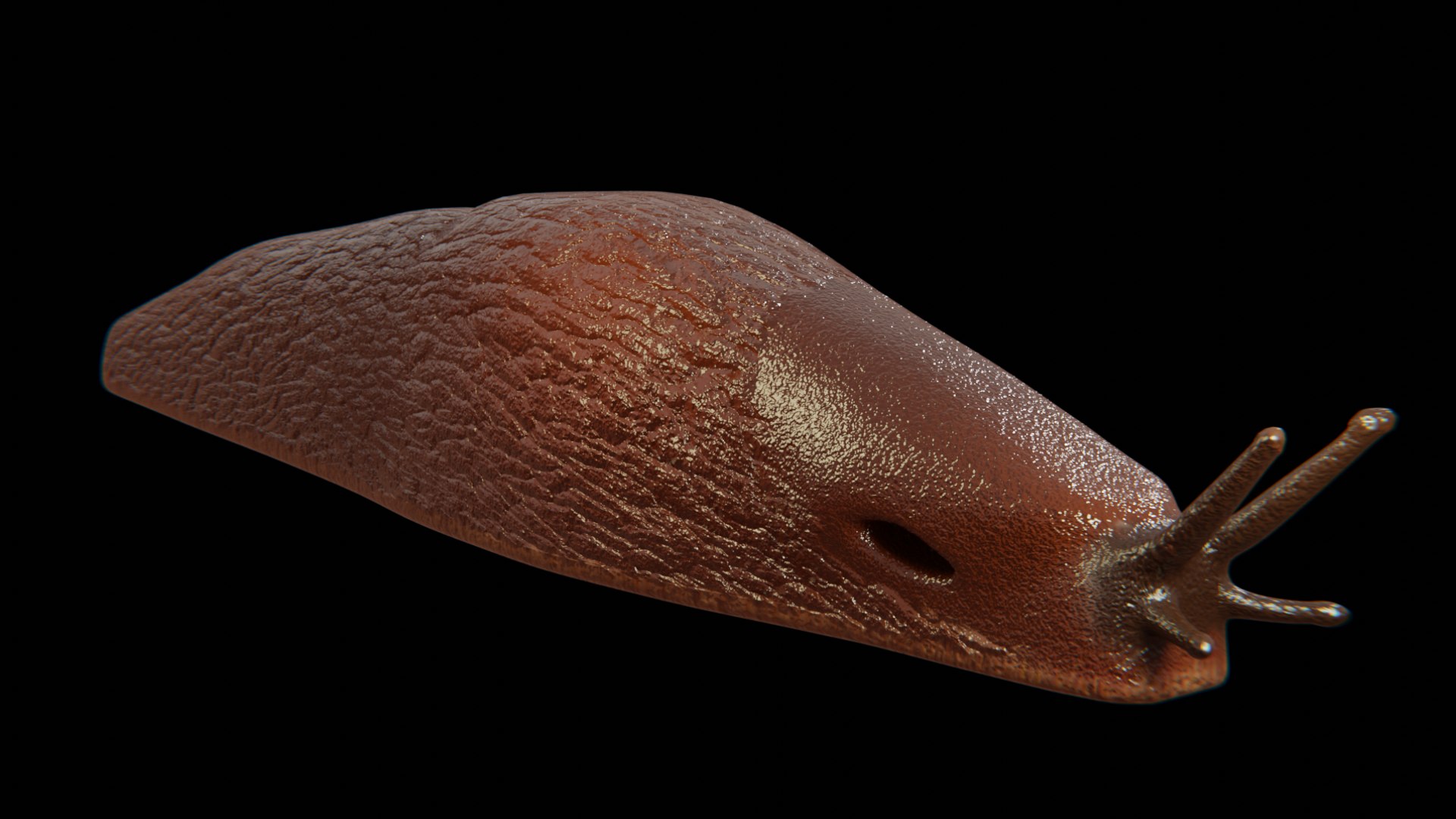 3D Slug - Orange Brown - TurboSquid 2103072