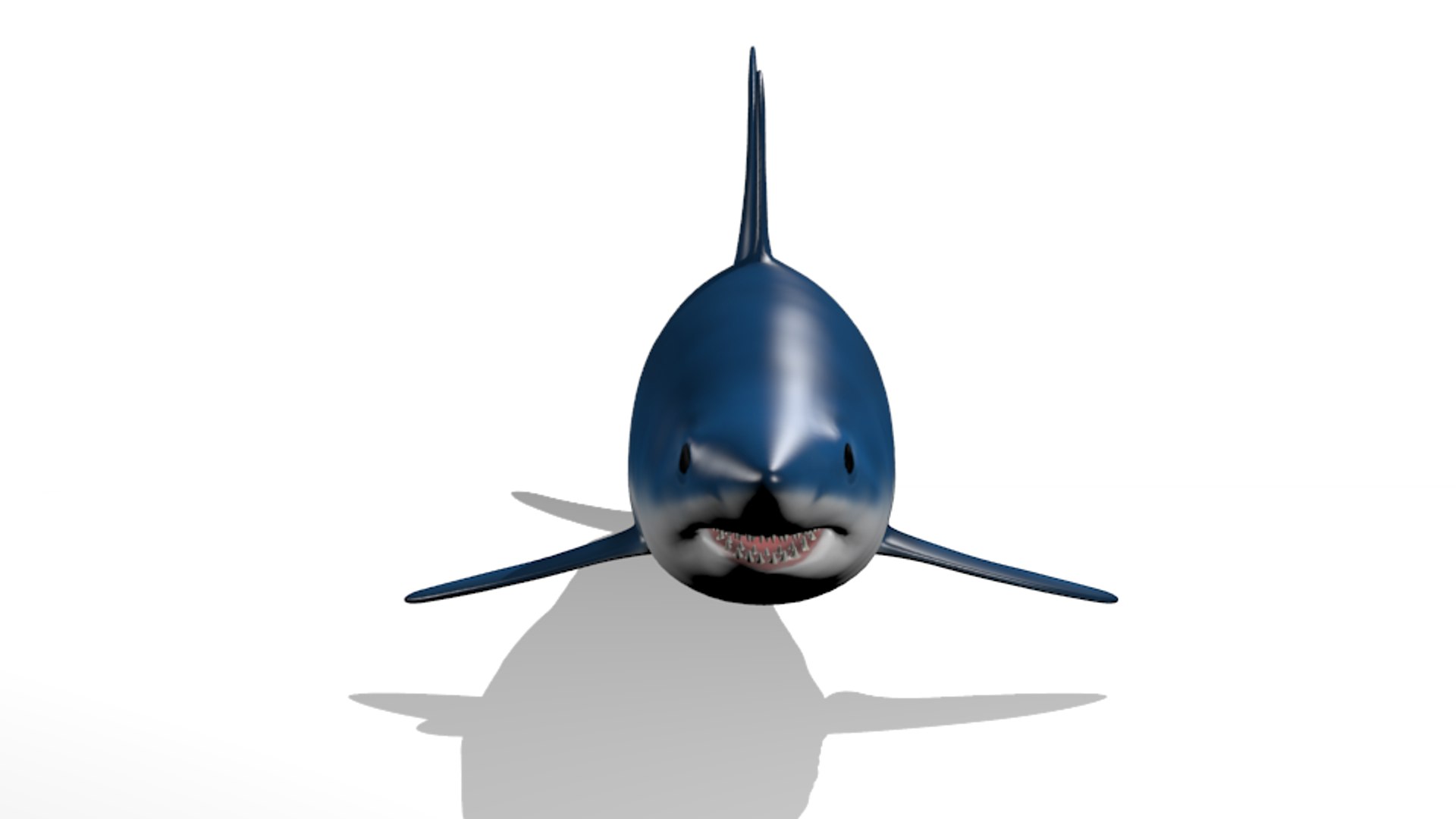 maya mako shark - poses
