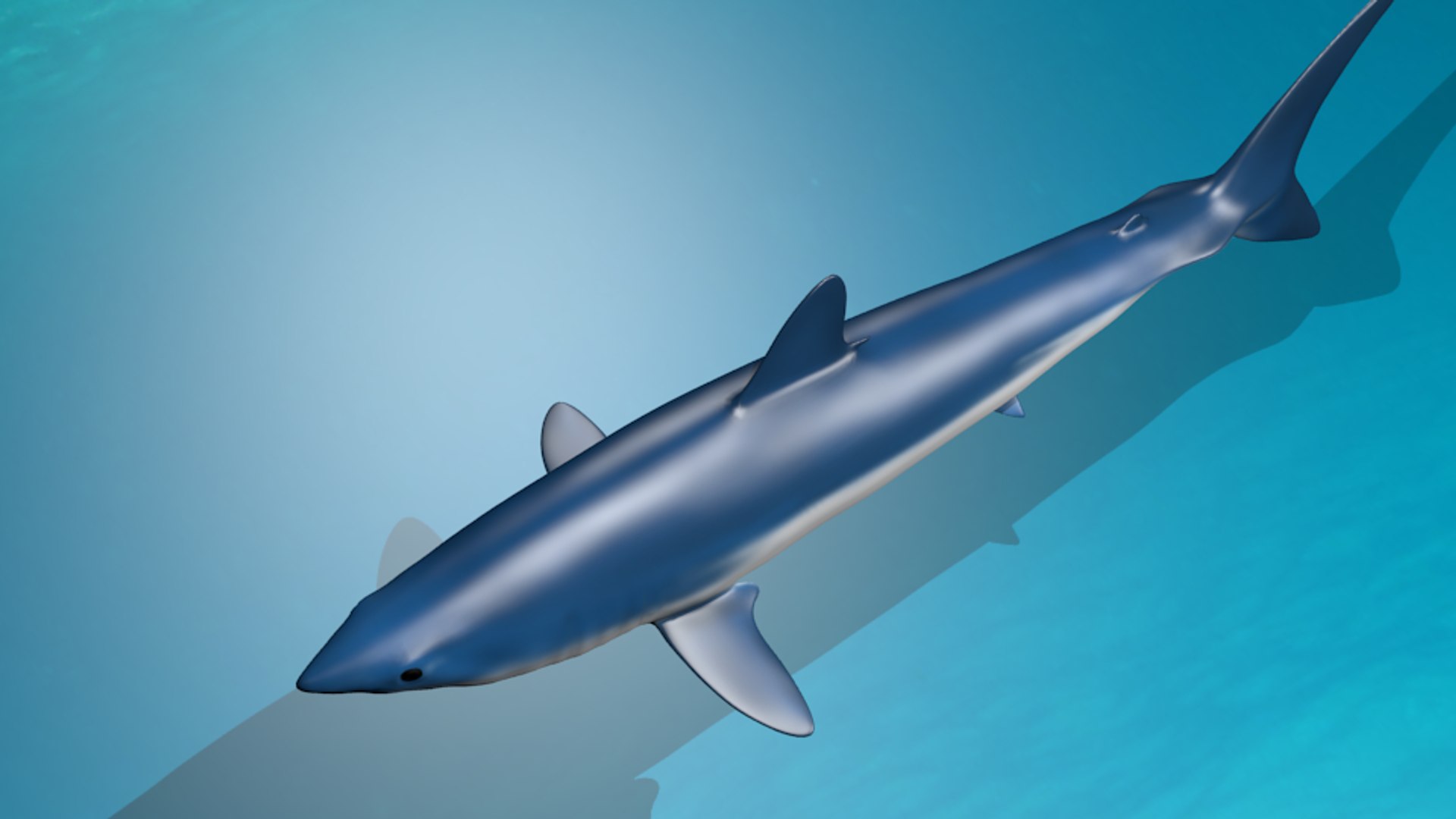 maya mako shark - poses