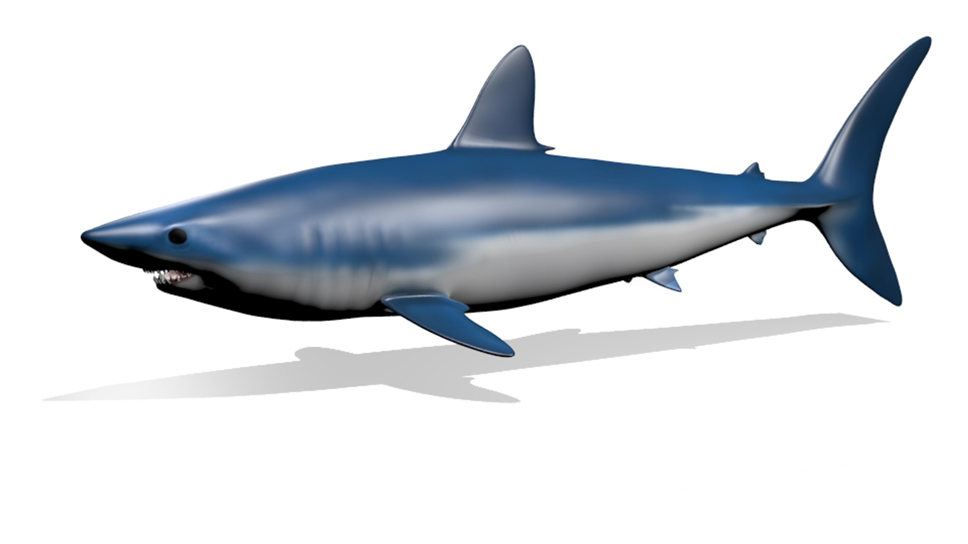 maya mako shark - poses