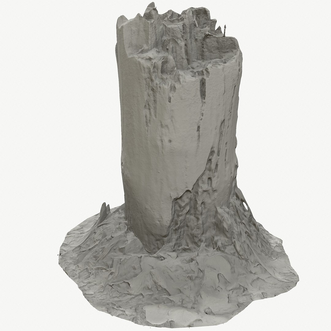3D Scan Bpr Tree Stump Model - TurboSquid 1636812